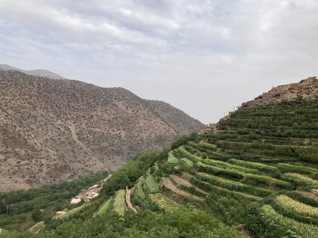 5 Ways Agriculture in Morocco Drives Tradition and Growth ...
